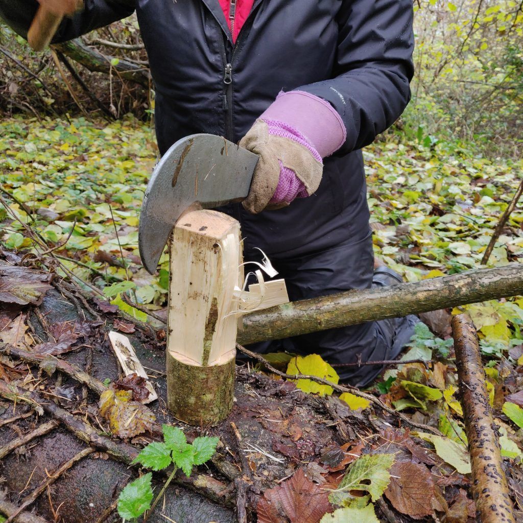 Forest School Leader Training - January 2024 - Inspired Forest School ...